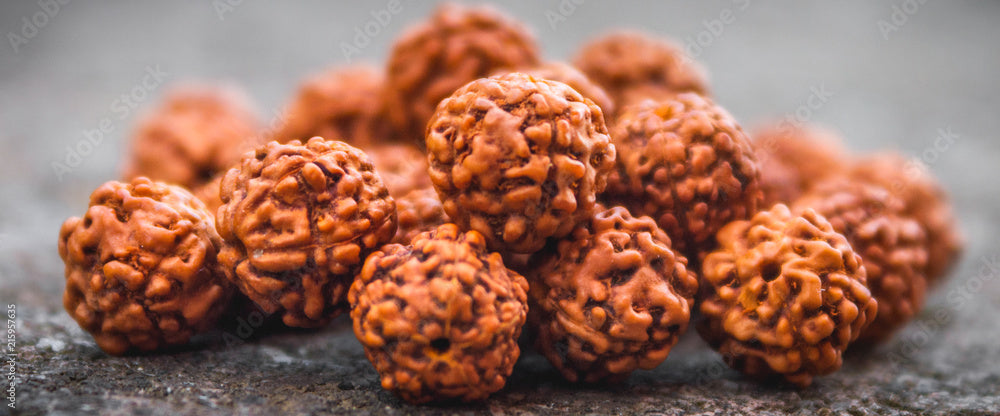 Buy Rudraksha Online – Original Rudraksha