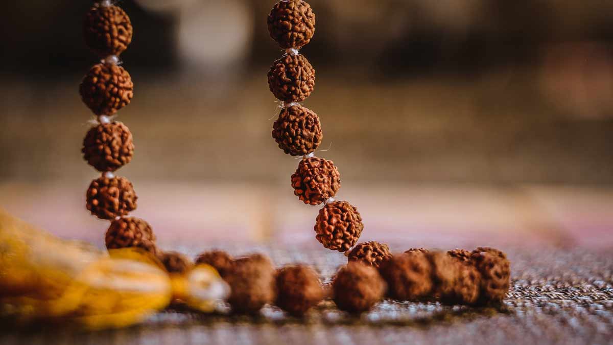 Original Rudraksha: Buy Gemstones and Rudraksha Online